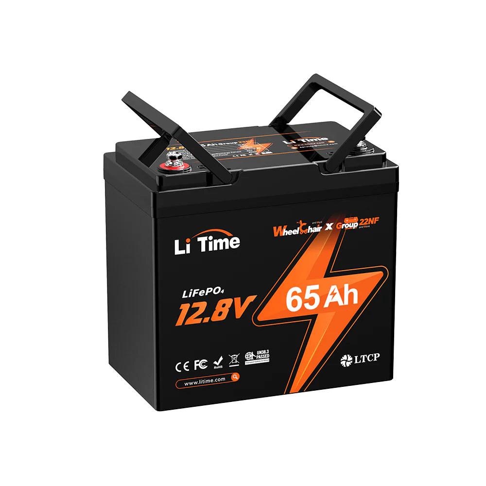 LiTime 12V 65Ah 22NF Lithium Battery for Trolling Motor, Heavy Duty Po